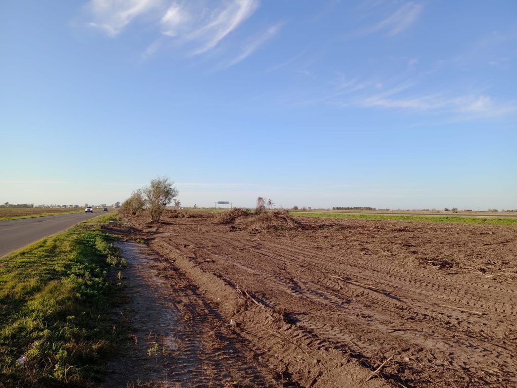 Lenci pide urgentes explicaciones por la destrucción de un sector del ...